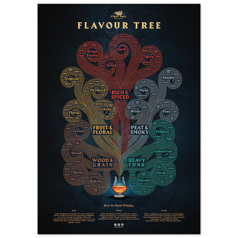Whisky Flavour Tree Poster – Dark Edition – First Phil Store